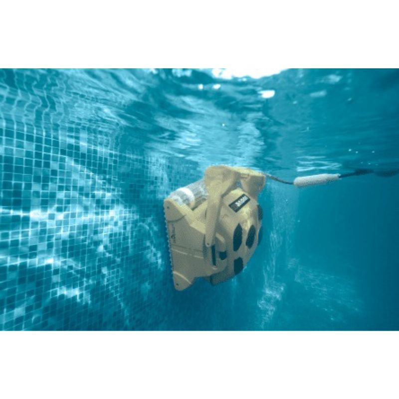 Dolphin Wave 100 Commercial Pool Robot - Crystal Clear Pools